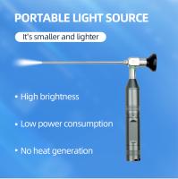 China USB Handheld ENT Endoscope 1080P HD | Sony CMOS, Quasi-Professional Imaging | Model LN-S353 for sale