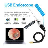 China LN-S353 Plug In. Look Inside.The Affordable 1080P HD USB Endoscope for Home, Workshop & Beyond for sale