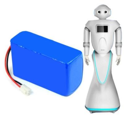 China 24V 20AH Lithium Batteries For Electric Guding Robot , Safe / Light / Compact for sale