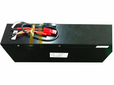China High Power Electric Bike Lithium Battery LiFePO4 24V 40AH Painted Metal Case for sale