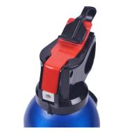 China SW610 Dry Powder Car Fire Extinguisher 0.75kg 1A 21B 5F E 3C Certified for sale