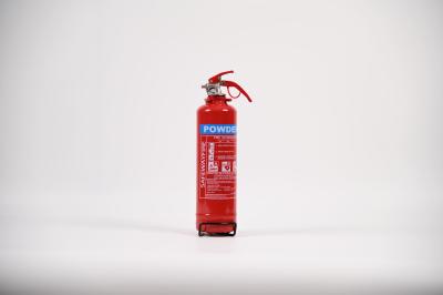 China 8 Seconds Dry Powder Fire Extinguisher Car Fire Protection for sale