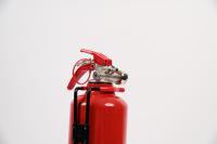 China Safewayfire MFZL-1 Dry Chemical Fire Extinguisher 5kg 14bar Car Safety for sale