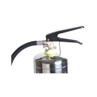 China 6L Polished Stainless Steel Non-Magnetic Fire Extinguisher with 34A-183B&C Rating and 5-Year Warranty for sale