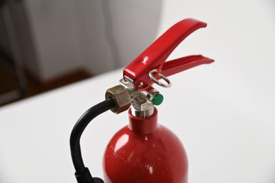 China Carbon Dioxide Fire Extinguisher 15kg CO2 Fire Suppressor Cylinder 2.5mm Thickness for sale