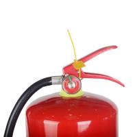 China SWDPN-09 9kg ABC Dry Powder Fire Extinguisher 180mm x 510mm with 21A 113BC Fire Rating for sale