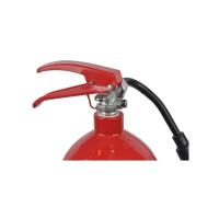 China 3KG CO2 Fire Extinguisher - 167 Bar Working Pressure, 585mm Height for Class B & C Fires for sale