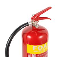 China Steel Foam Cartridge Fire Extinguisher 6L Capacity with 14Bar Working Pressure and -30°C to +60°C Temperature Range for sale