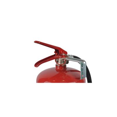 China SafewayFire SWWF Red Stainless Steel Water Fire Extinguisher 14-21 Bar Class A for sale