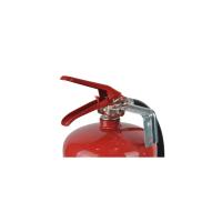 China Steel Foam Fire Extinguisher 6L 9L 10L 12L with High Pressure System and Safety Valve for sale