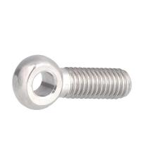 China DYE28-21 High Quality Stainless Steel  Bolts Swing Hinge Screw Articulated Bolt for sale