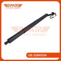 China Car Power Electric Liftgate 22895254 Left Right for Buick Envision 12V for sale