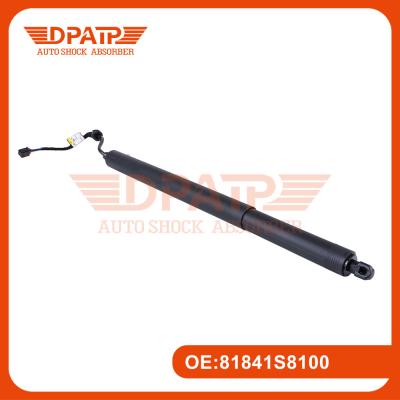 China Power Liftgate Strut 81841S8100 81830S8100 For Hyundai Palisade 12V for sale