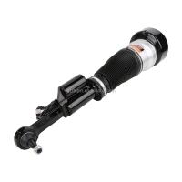 China Front Left Shock Absorber Strut Assembly 43-2064 OE 2213200538 for Mercedes Benz S600 W221 for sale