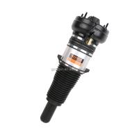China Front Air Shock Absorber 43-2064 95B616039 for Porsche 2015-2019 4.8L for sale
