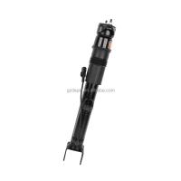 China Rear Air Suspension Shock Absorber 2513203031 for Mercedes R280 R350 R500 2006-2013 for sale