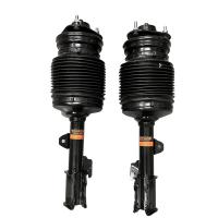 China Front Pneumatic Suspension for Lexus RX 48010-48073 48020-48073 12V for sale