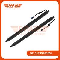 China Electric Tailgate Lift Support for BMW X2 F39 51249465654 12V Power Lift for sale