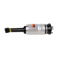 China Land Rover Discovery L319 Air Suspension Strut RNB501620 RNB501590 50k-100k Mile Lifespan for sale