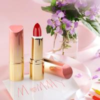 China Customizable Square Round Empty Lipstick Tube Set 5ML-20ML Capacity Plastic Cosmetic Packaging for sale