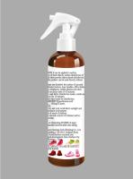 China Good Odor Removal Effect Personal Disinfectant HOCL / HCLO Shoe Disinfectant for sale