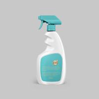 China 500ML Safety HCLO Disinfectant For Kitchen None Fragrance for sale