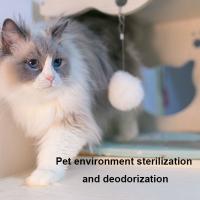 China 500ml Puppy Safe Disinfectant , HClO Hypochlorous Acid Dog Safe Lawn Disinfectant for sale