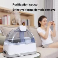 China FDA MSDS Hypochlorous Acid Home Disinfectant , 5L House Spray Sanitizer for sale