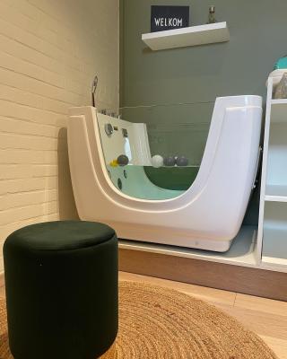 China Tubeless Pump Baby SPA Bathtub Indoor Thermosta With Combo Massage Ozone for sale