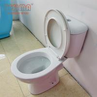 China Ceramic Rimless Bathroom Sanitary Ware France Classical Style 2 Piece Toilet for sale