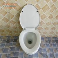 China Ceramic Washdown One Piece Toilet Wc Bowl Flush FSSIMA for sale