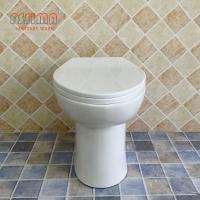 China Ceramic Washdown One Piece Toilet Wc Bowl Flush FSSIMA for sale