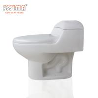 China Twin Conjoined Toilet Floor Mounted Wc S Trap 190mm Washroom for sale