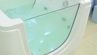 China 1M BB Baby Spa Bathtub Air Jett Massage Indoor Dogs FSSIMA for sale