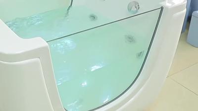 China 1M BB Baby Spa Bathtub Air Jett Massage Indoor Dogs FSSIMA for sale