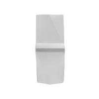 China 1 Piece Conjoined Toilet Gravity Flush System P And S Trap Wc for sale