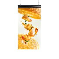 China P2.5/P3.91/P6.25 SculptStone Holographic Invisible Screen Poster Series Huge Size 55
