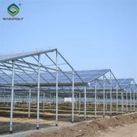 China Strong Metal Frame Greenhouse Automatic Systems  Solar Energy Green House for sale