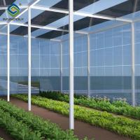 China Customized Agriculture Solar Glass Greenhouse Double Glass Greenhouse for sale
