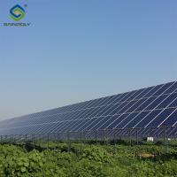 China Customized Agriculture Solar Glass Greenhouse Double Glass Greenhouse for sale