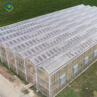 China Agriculture Commercial Transparent Solar Panels Greenhouses  Energy Saving for sale