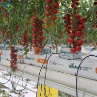 China Steel Frame Garden Tomato Greenhouse Hydroponic Container System Dutch Bucket for sale