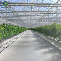 China Galvanized Frame Single Span Tunnel Greenhouse Plastic Shed For  Vegetables for sale