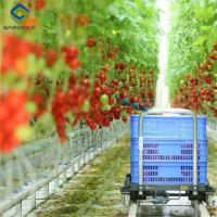 China Greenhouse Hydroponics Gutter System With Grow Bags For Growing Tomato for sale