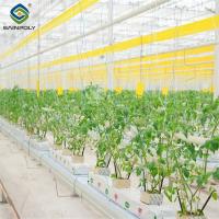 China Galvanized Frame Single Span Tunnel Greenhouse Plastic Shed For  Vegetables for sale