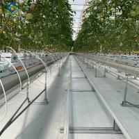 China Waterproof Indoor Tomato Greenhouse Business For Sale  With Hydroponic System Assembly Required Greenhouse for sale
