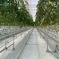 China Steel Frame Garden Tomato Greenhouse Hydroponic Container System Dutch Bucket for sale