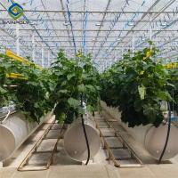 China Turnkey Project Multi Span Commercial Hydroponic Greenhouse Waterproofing for sale