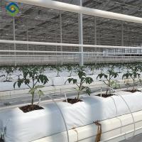 China Tomato Plant Greenhouse Film Greenhouse With Hydroponic Culture Soilless Cultivation for sale