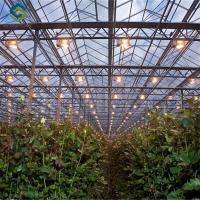 China Customized Agriculture Green House Tomatoes Greenhouse With High Yield for sale
